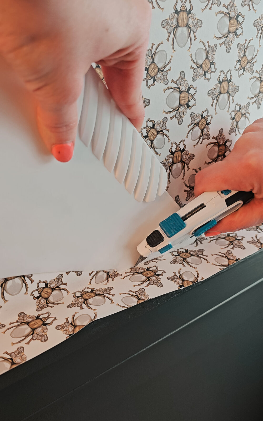 Wallpaper Tips from a Beginner - Cedar Hill Builder