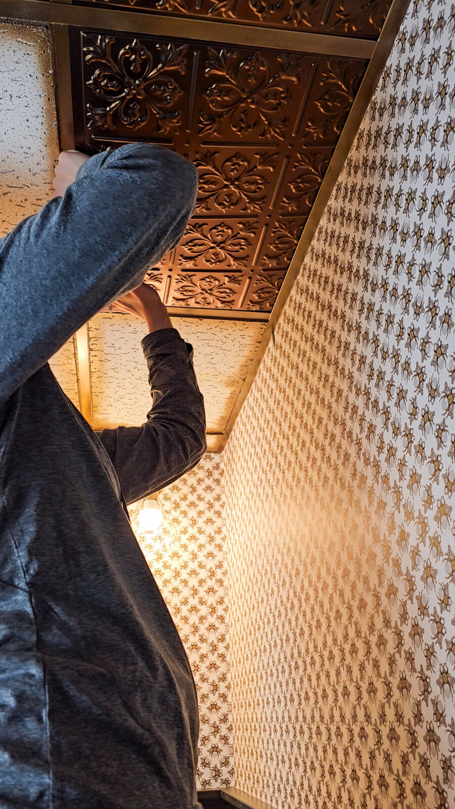 Replacing Drop Down Ceiling Tiles - Cedar Hill Builder
