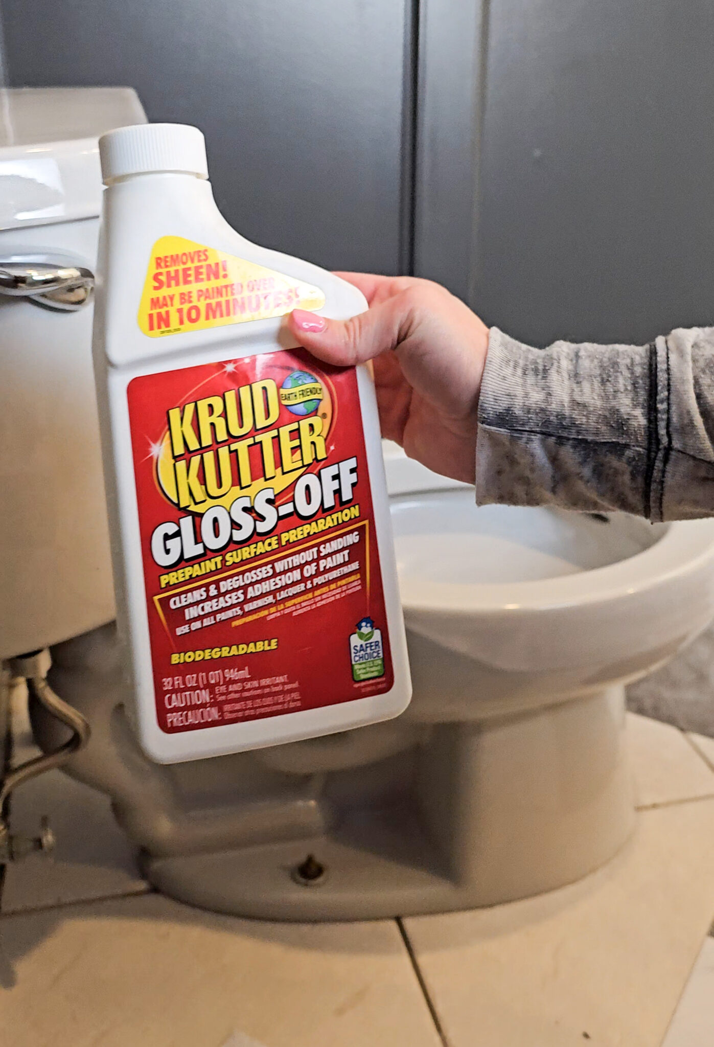 How I Painted A Toilet - Cedar Hill Builder