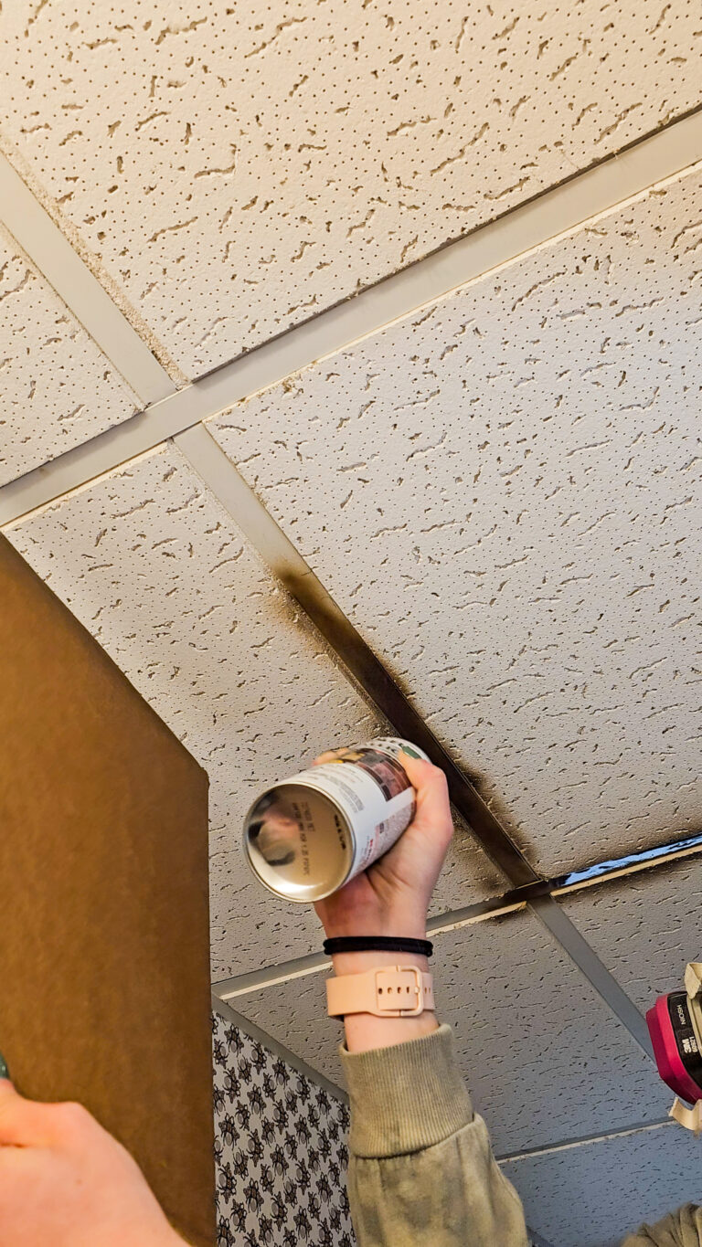 Replacing Drop Down Ceiling Tiles - Cedar Hill Builder