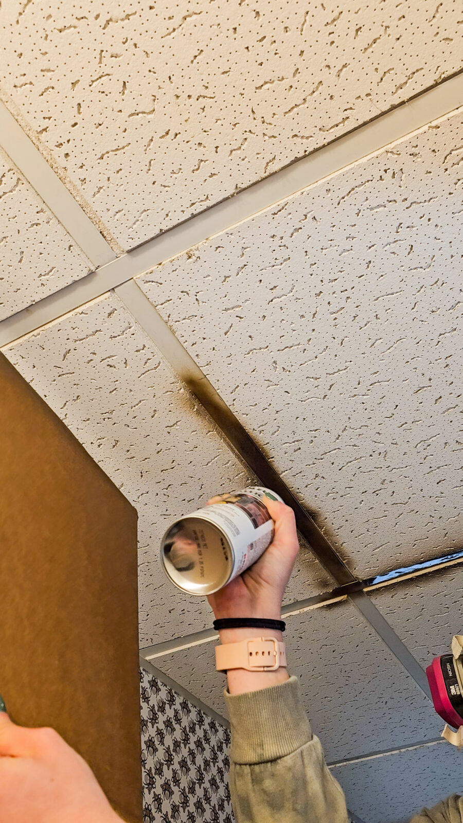 Replacing Drop Down Ceiling Tiles - Cedar Hill Builder