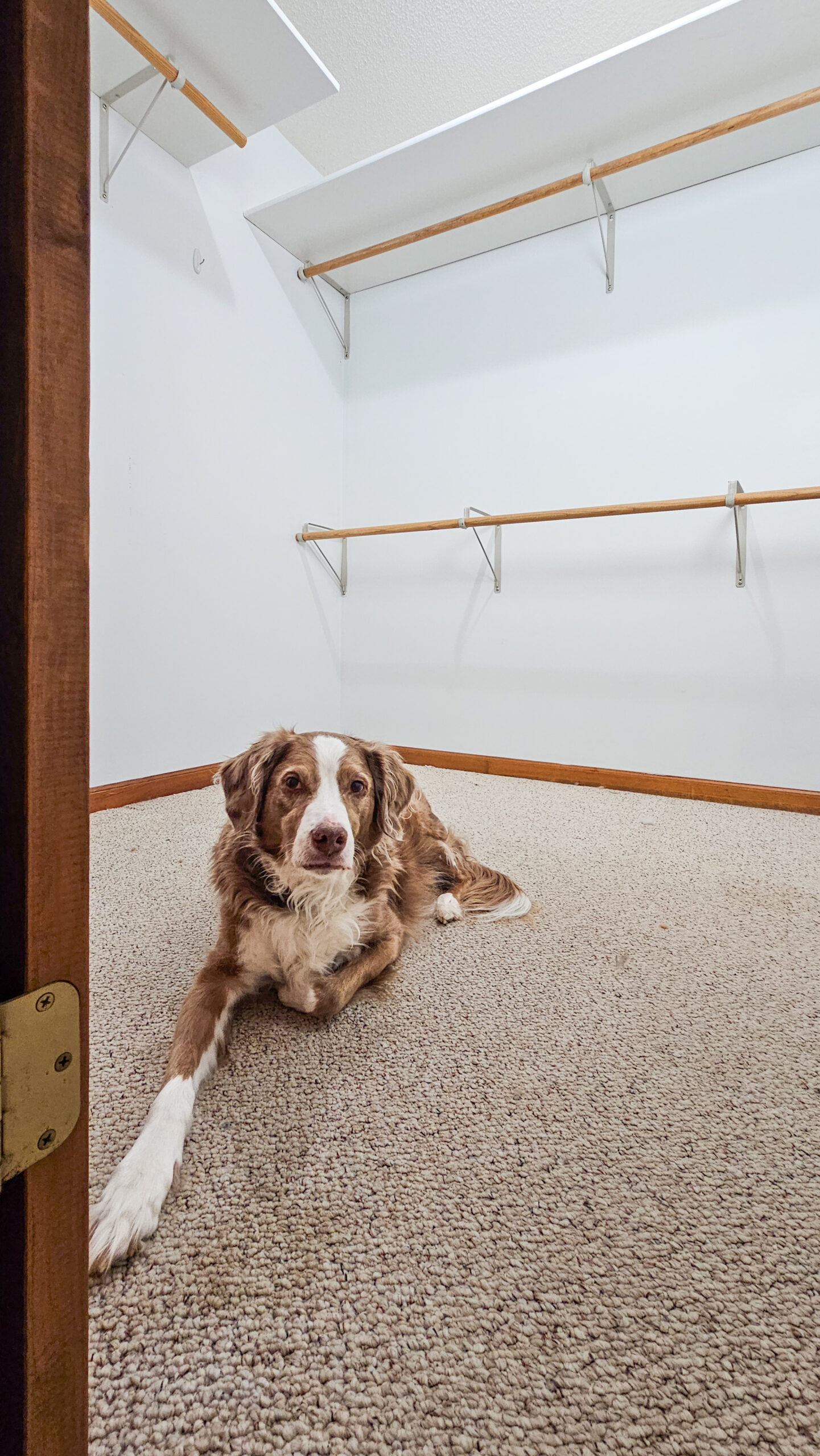 How to Remove a Popcorn Ceilings - Cedar Hill Builder